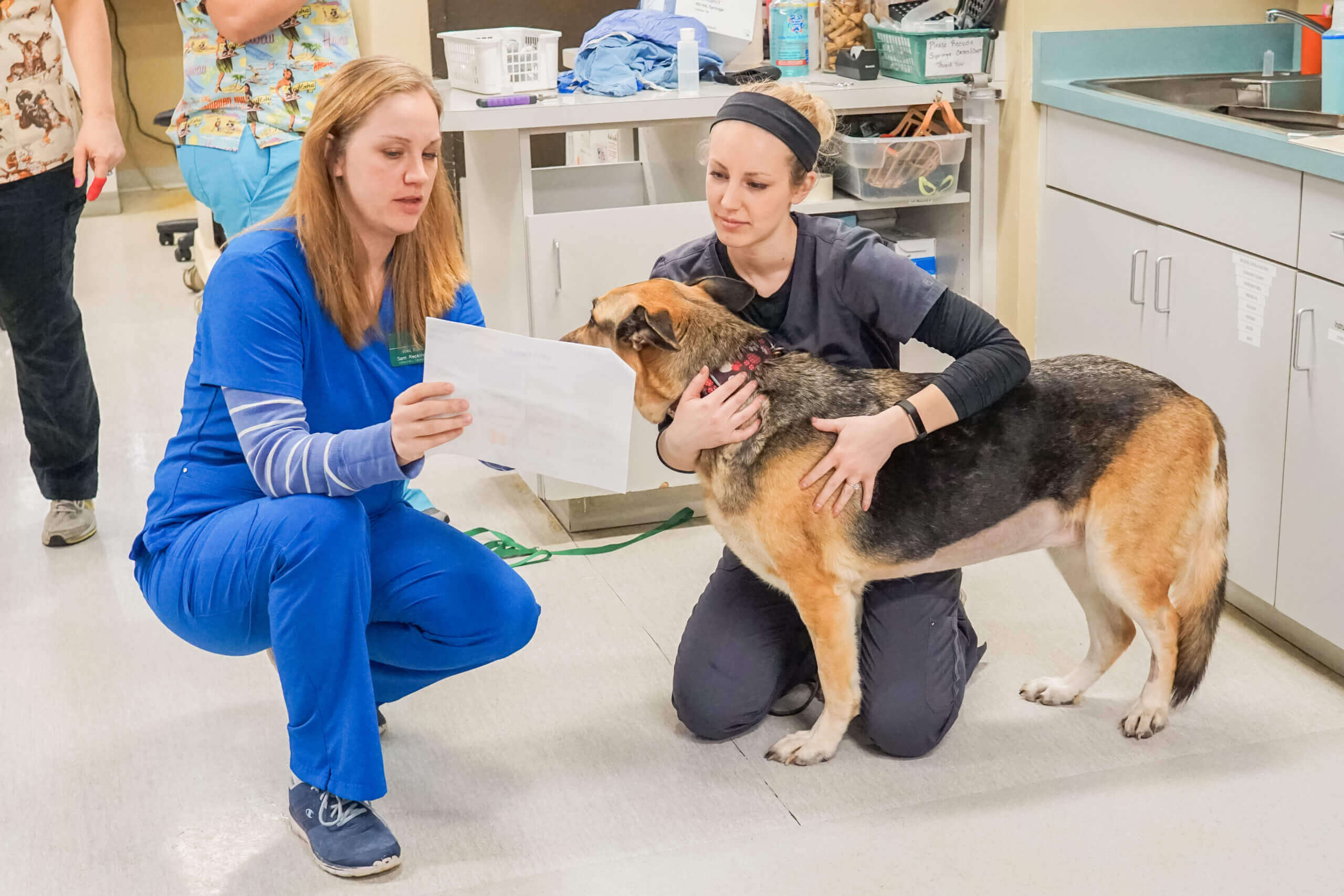 Animal Healthcare Center | Inver Grove Heights Animal Hospital